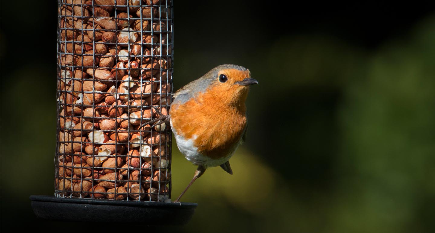 Alles over voersilo's & voederhuizen - Pets Place