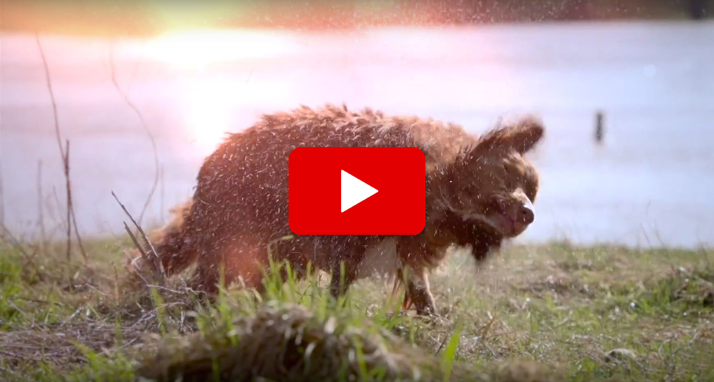 Leuke tips om samen fit buiten te zijn - Lekker schudden en rollen ...