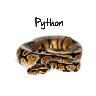 Informatie over reptielen - Pets Place