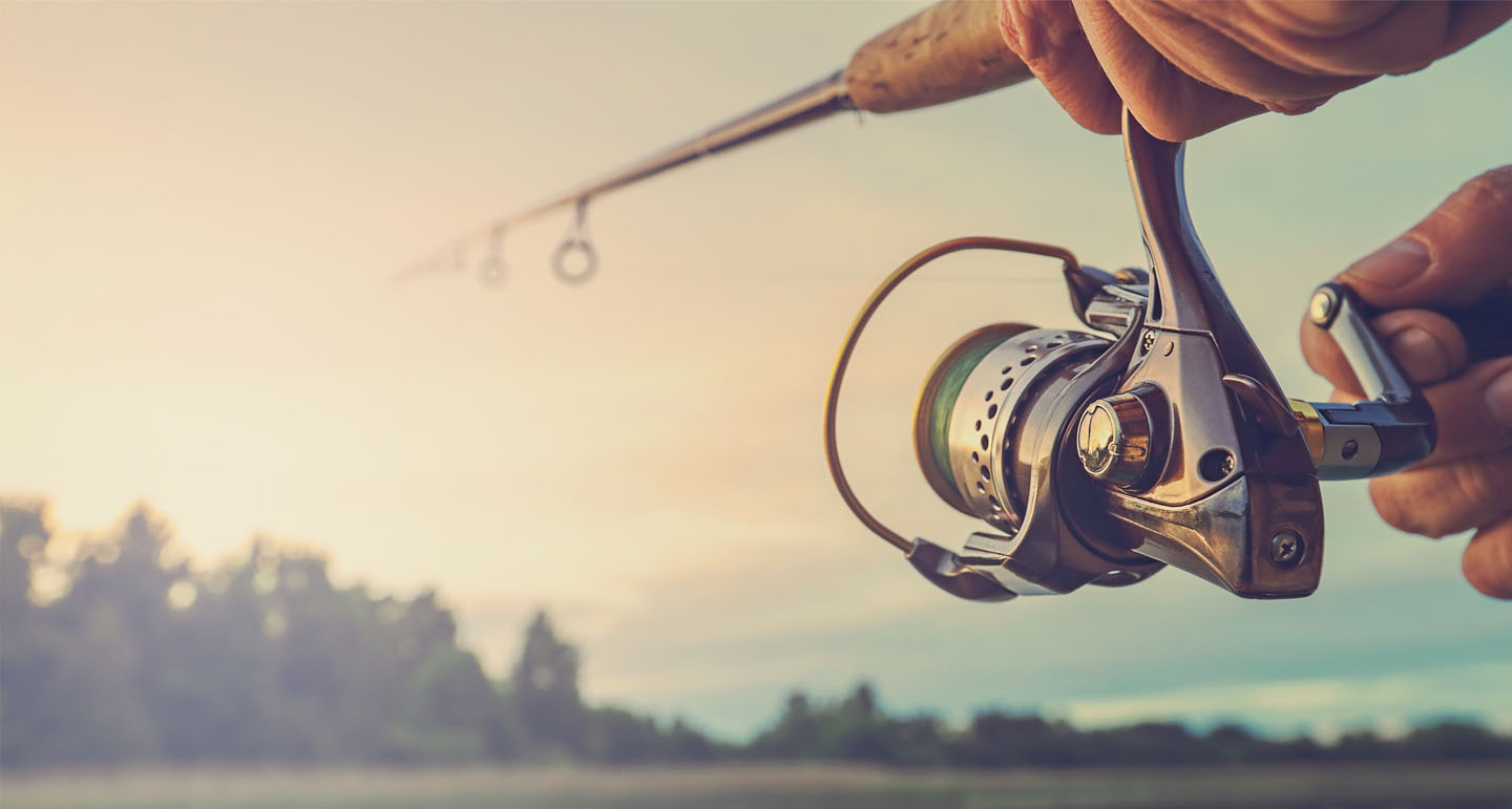 Tips om paling te vissen in Nederland - Pets Place