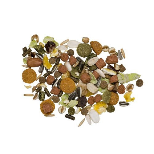 Hamstervoer: wat mag een hamster allemaal eten? - Pets Place