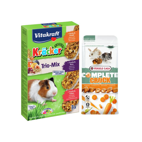 Wat heb je allemaal nodig voor het houden van cavia's? -Pets Place