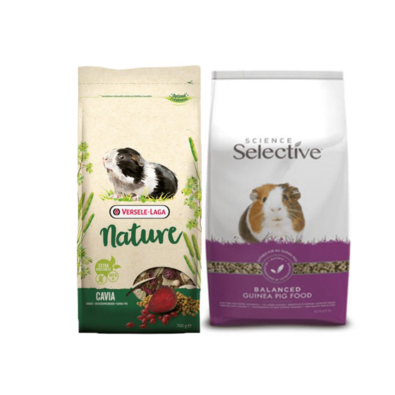 Wat heb je allemaal nodig voor het houden van cavia's? -Pets Place