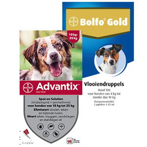 Heeft jouw hond vlooien? Zo bestrijd je vlooien! - Pets Place