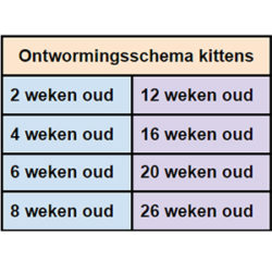 Ontwormingsschema kittens - Pets Place