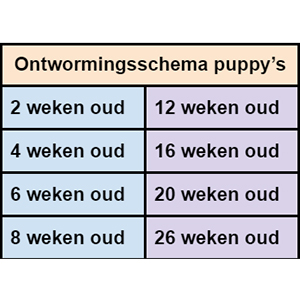 Schema ontwormen pup - Pets Place