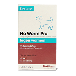 Ontwormen puppy's en volwassen honden - soorten wormen - Pets Place