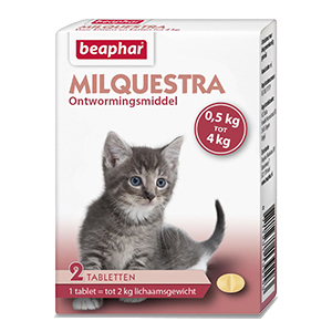 Ontwormen kittens en volwassen katten - soorten wormen- Pets Place
