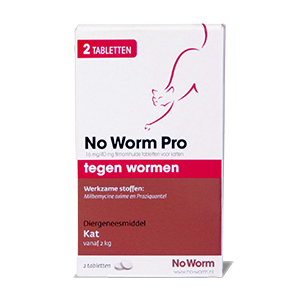 Ontwormen kittens en volwassen katten - soorten wormen- Pets Place