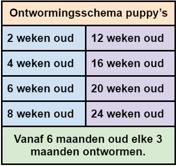 Ontwormen bij puppy’s - Pets Place