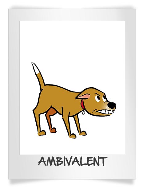 Hondentaal; herken het gedrag van je hond - Pets Place