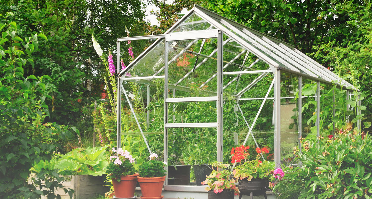 Een tuinkas aanschaffen, waar moet je opletten? - Pets Place