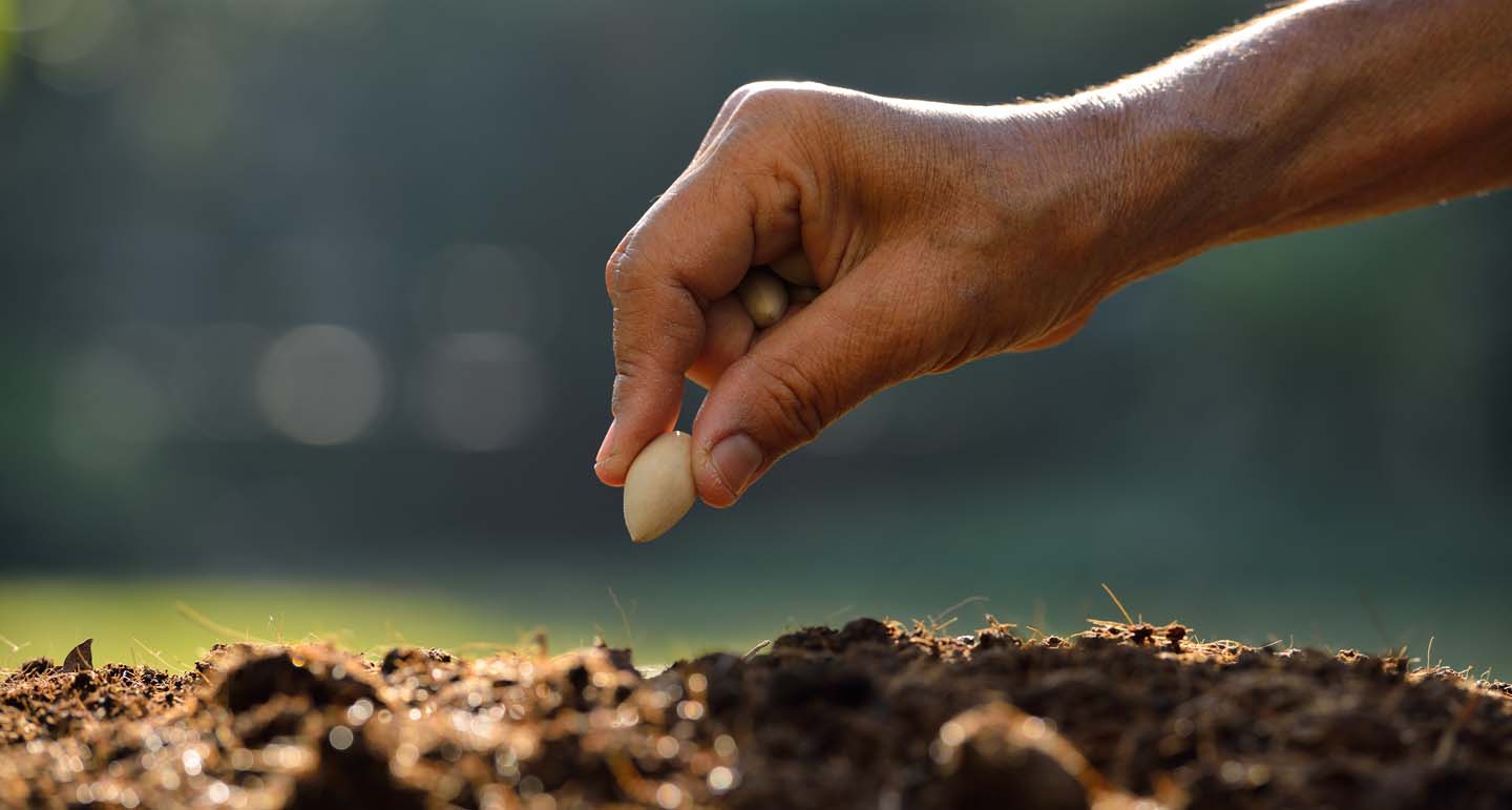 Zaaiperiodes - Pets Place