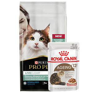 Oude kat verzorgen; wanneer is mijn oude kat senior? - Pets Place